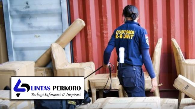 Patma Bersinar 2024, Operasi Bea Cukai Ungkap Lebih dari 900 Kilogram ...