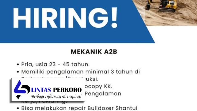 Lowongan Mekanik di DingChang Group