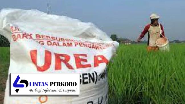 Pemuda Garuda Bersatu Temukan Banyak Kios Jual Pupuk Bersubsidi di Atas ...