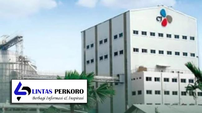 PT Cheil Jedang Indonesia Buka Lowongan Kerja HR Manager