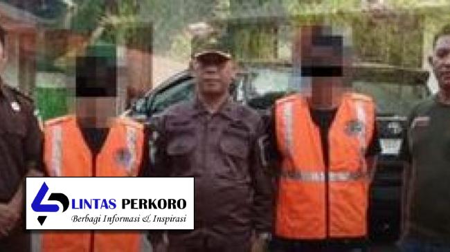 Berkas Tersangka Bos Kayu dan Direktur Tersangka Peredaran Kayu Ilegal ...