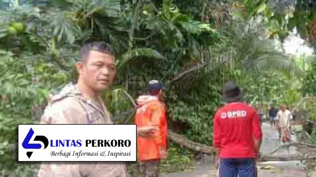 Polsek Mentok dan Tim BPBD Tangani Dampak Bencana Alam di Keranggan